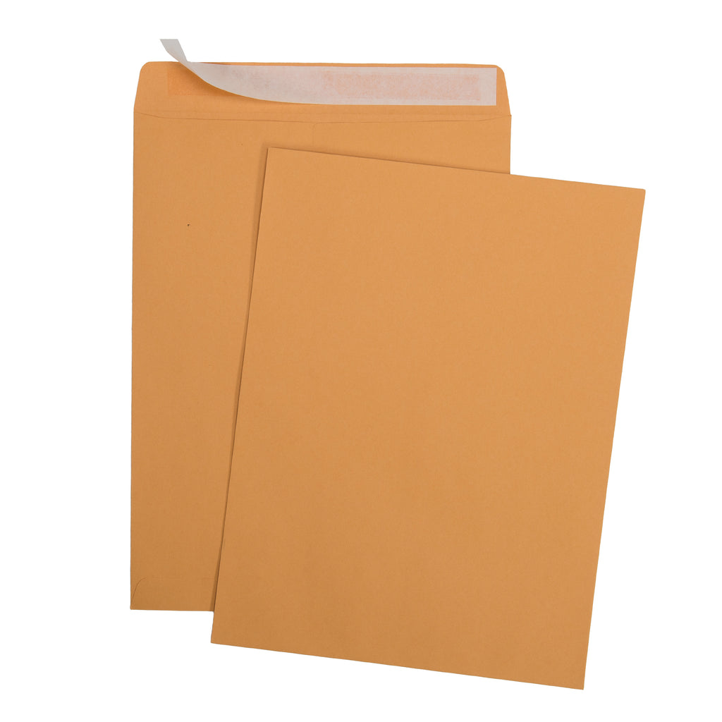 9X12 Envelopes - Self-Seal - Kraft - 100 Count — Aimoh