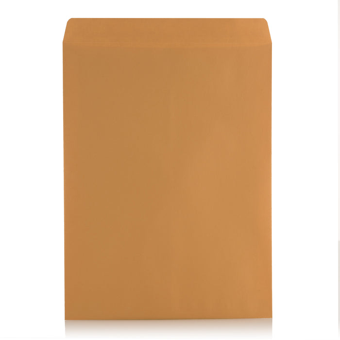 9X12 Envelopes - Self-Seal - Kraft - 100 Count — Aimoh